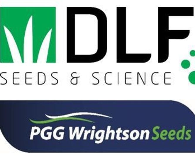 DLF Seeds acquires PGG Wrightson Seeds | DLF Seeds