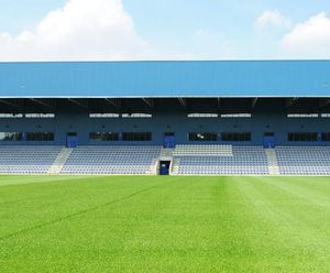 Sports grass seed | EXTERNAL WORKS