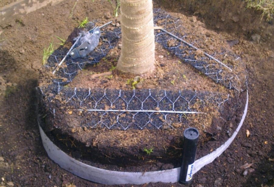 Images for Piddler® tree irrigation and aeration system