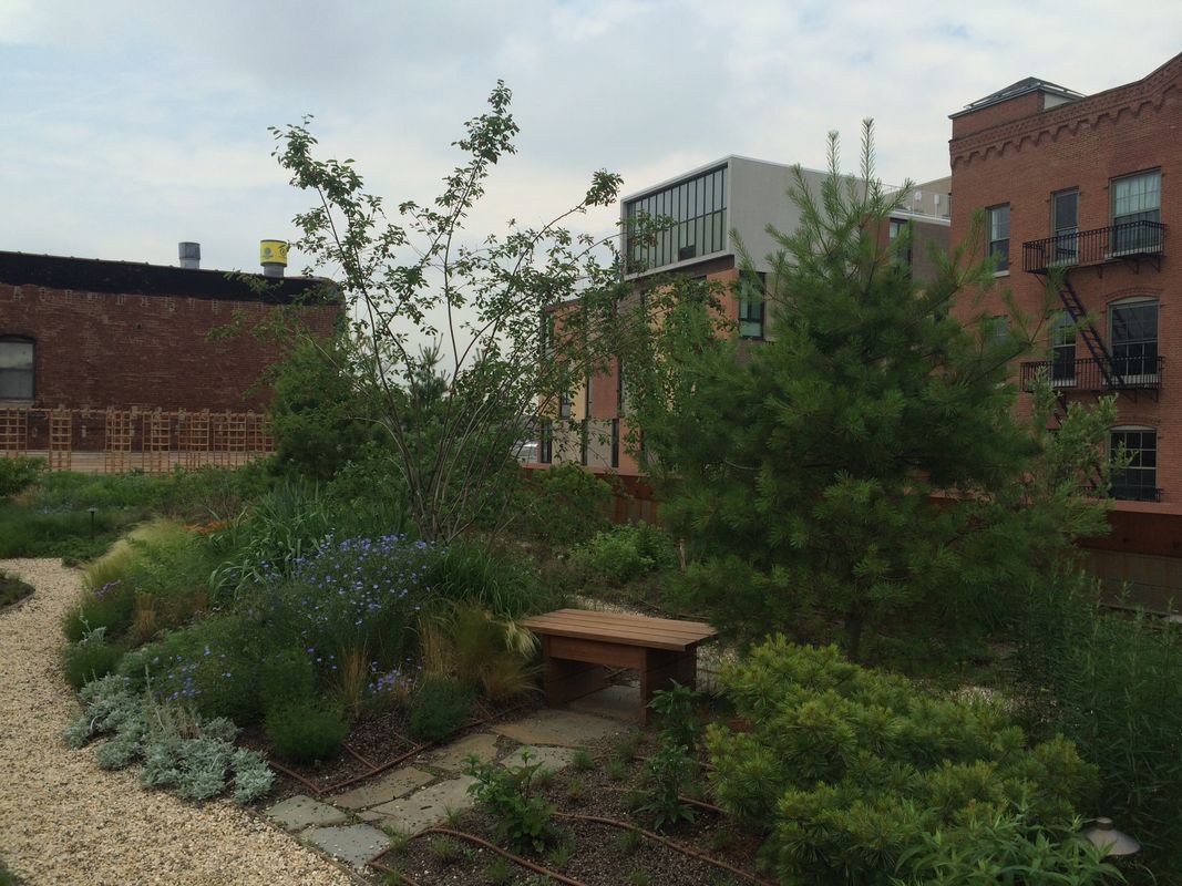 Images for Rootball Fixing System - Plati-Mat