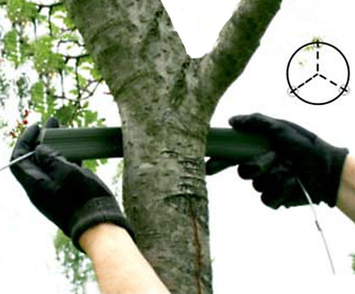 Tree Anchors - Guy Fixing Systems | Images