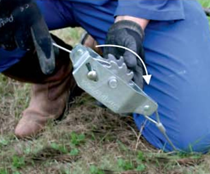 Tree Anchors - Guy Fixing Systems | Images