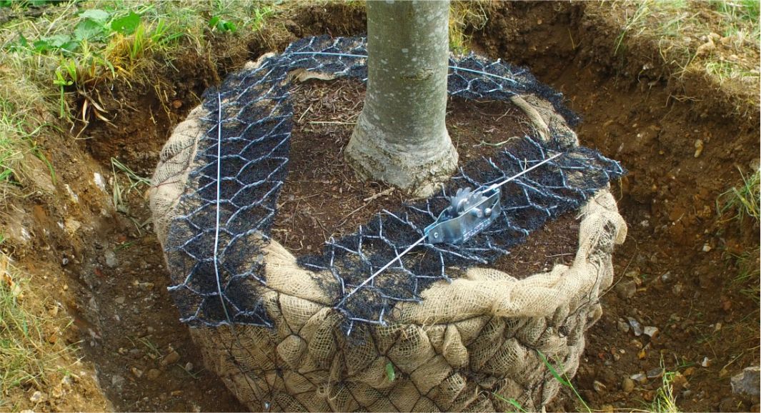 Images for Rootball Fixing System - Plati-Mat