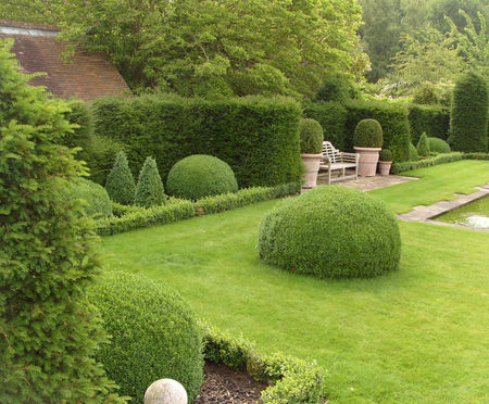 Specimen topiary for focal points and structure | Practicality Brown ...