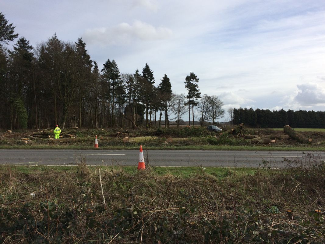 Tree and hedge clearance - £104m road enhancement scheme | Images