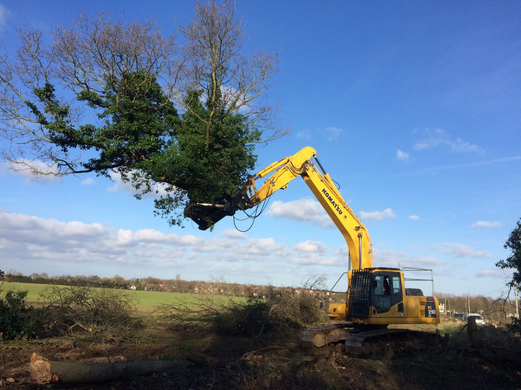 Tree and hedge clearance - £104m road enhancement scheme | Images