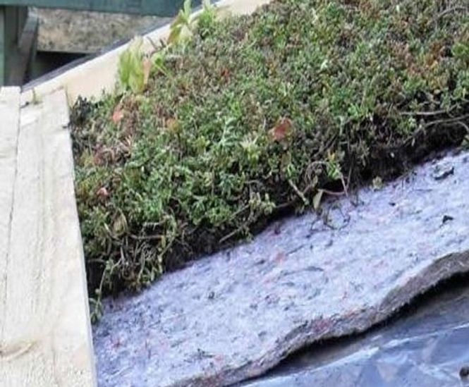 Enviromat Sedum Green Roof Kit for pitched roofs | Harrowden