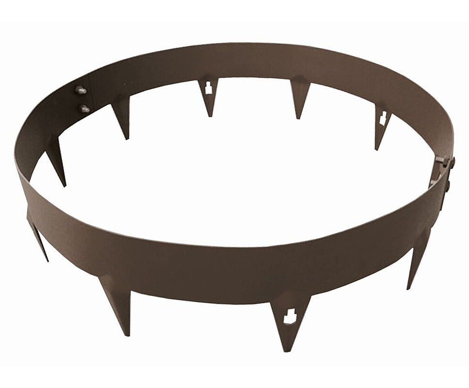 Images for Tree Rings