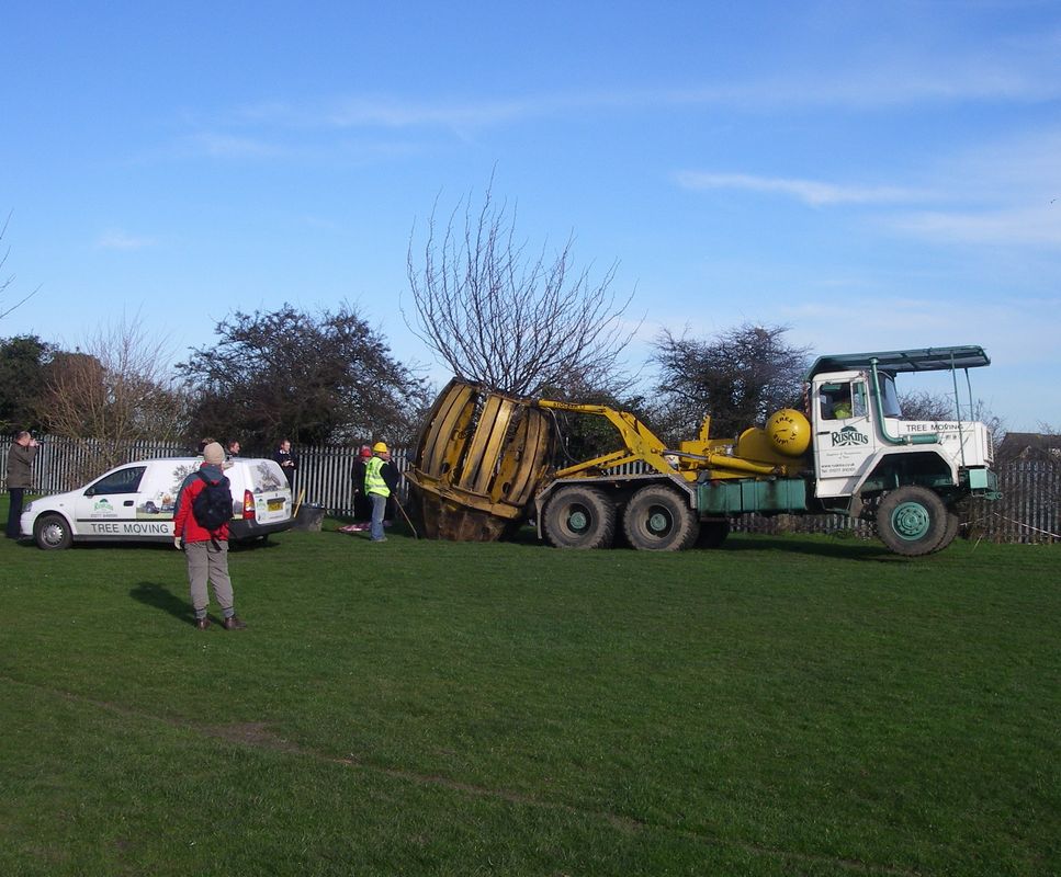 Images for Moving large trees
