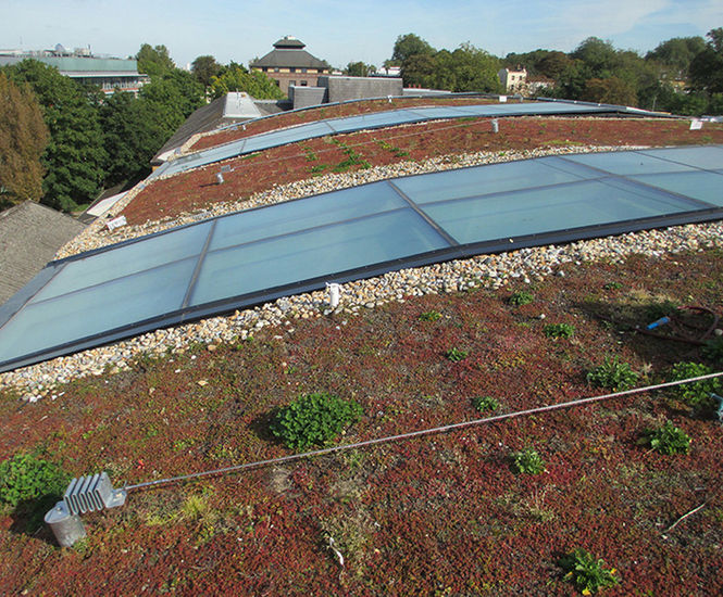 KeeLine® Horizontal life line fall arrest system | Safesite