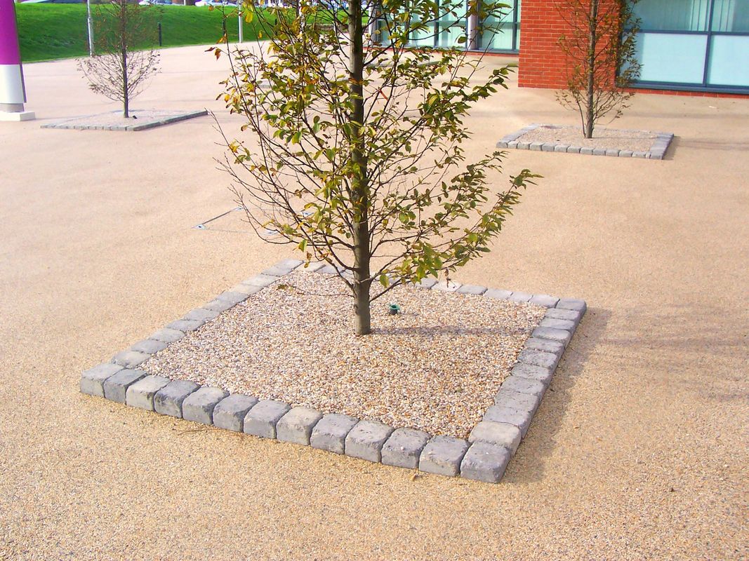 SureSet resin bound tree pits | Images