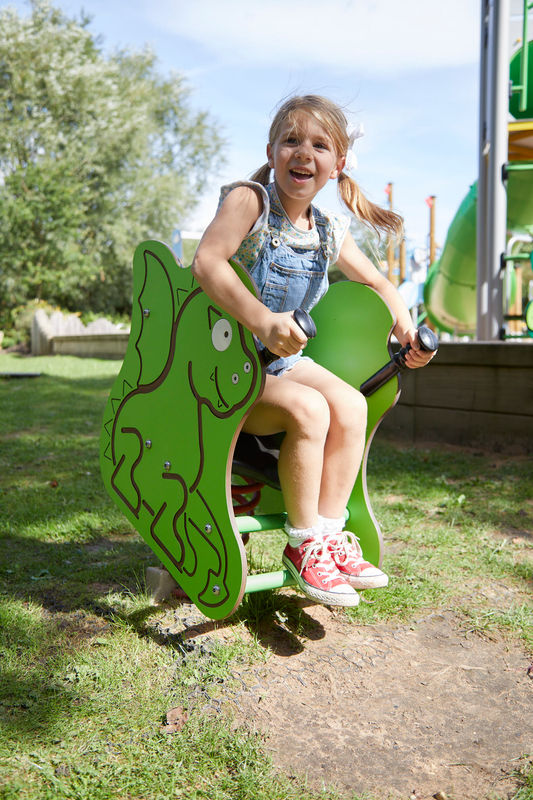 Images for Denzel the Dragon springie