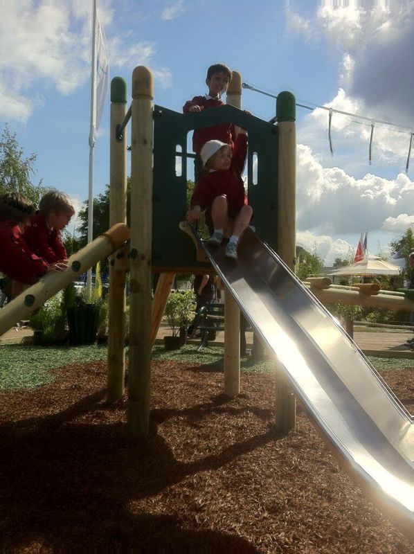 Mini Forest Copse 6180-COP/SS | Images