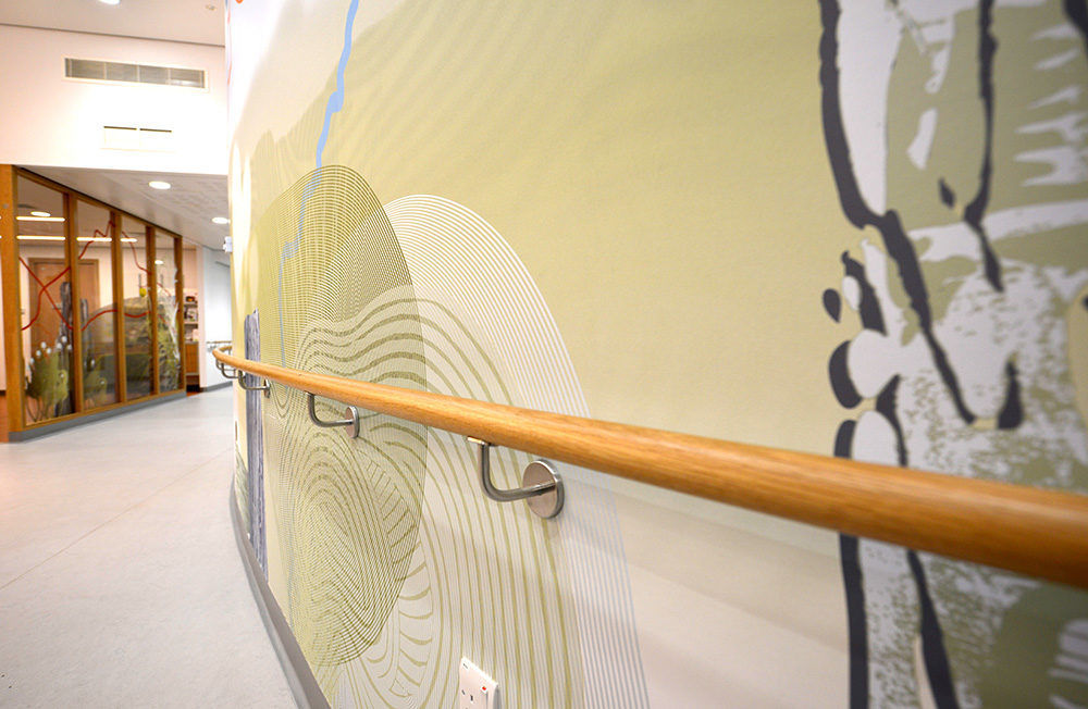 Images for Curved Oak Handrail and Acrovyn Protection for Clinic