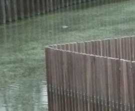 Cycle ramp and bridge over the River Lee, Bow | CTS Bridges | ESI ...