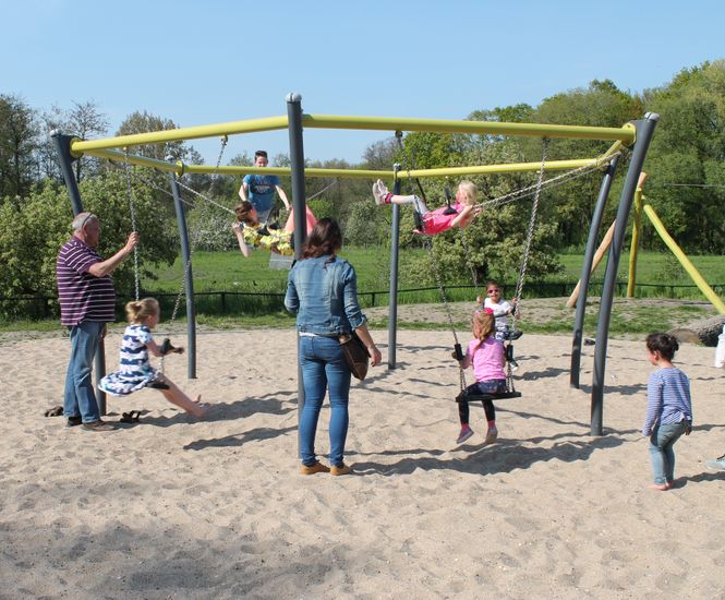 Unique hexagonal multi swing | eibe play Ltd