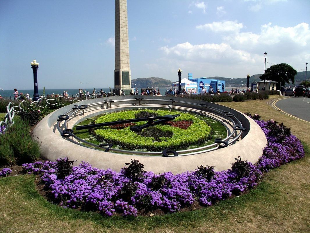 Images for Floral clocks