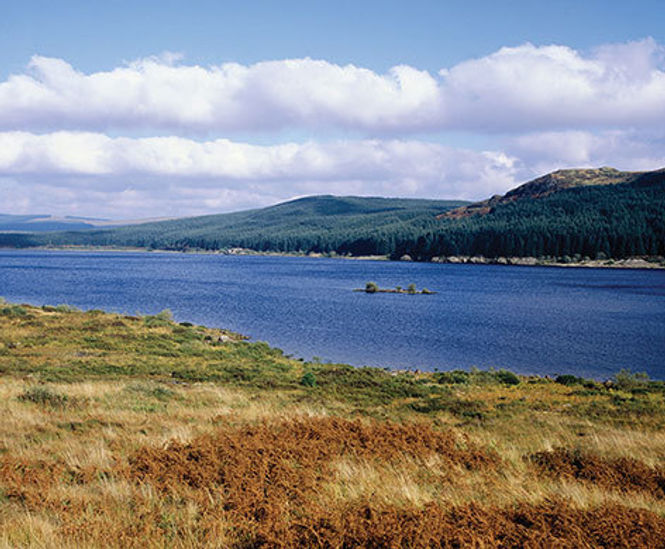 Envirosafe replaces old septic tank at holiday park | Kingspan Water ...