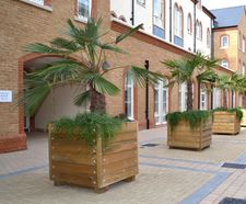 Grenadier FSC timber tree planter | Street Design