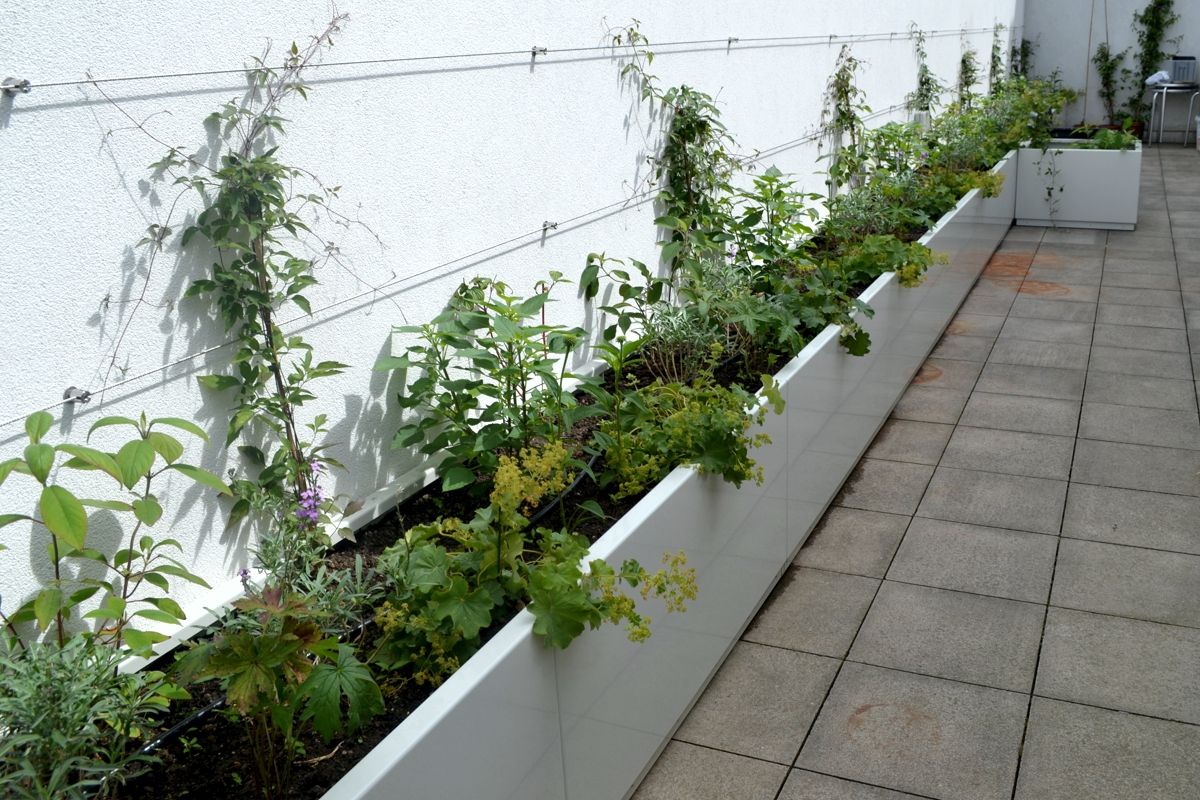 Planters for roof gardens | Images
