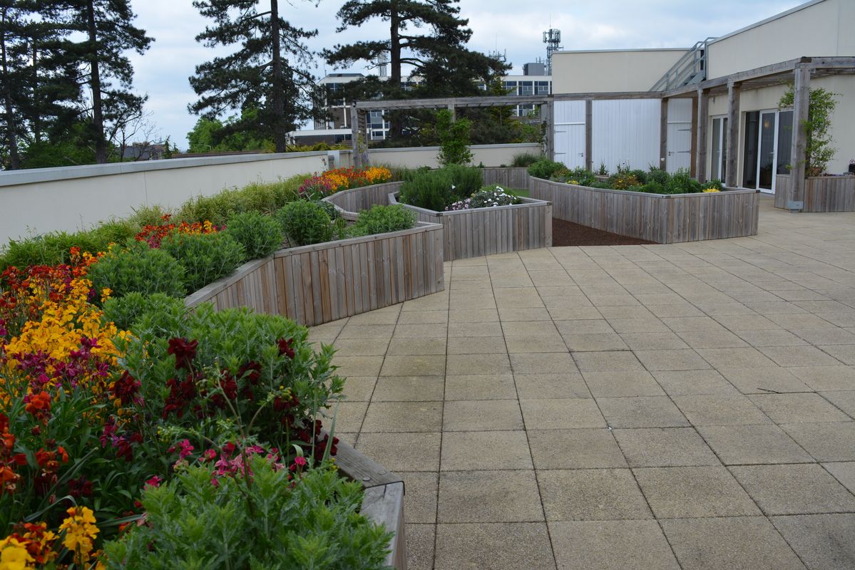 Diplomat timber roof terrace planter | Images