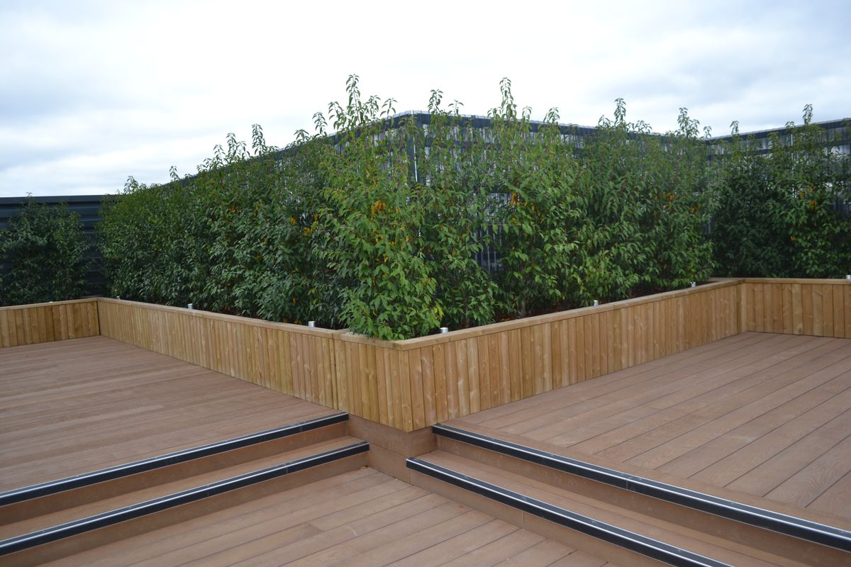 Diplomat timber roof terrace planter | Images