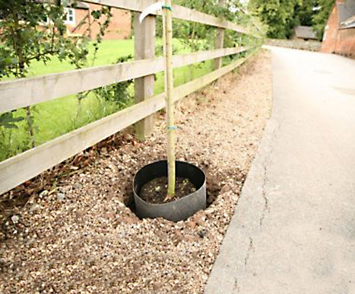 TERRAM RootGuard™ - tree root barrier | Images