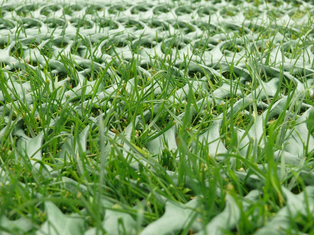 GrassProtecta™ grass reinforcement mesh | Images