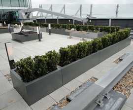 Bespoke ultra-lightweight GRP planters for roof gardens | Livingreen ...