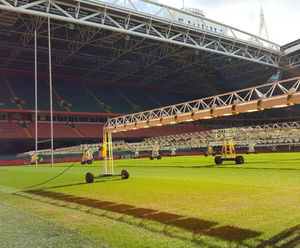 Sports grass seed | EXTERNAL WORKS