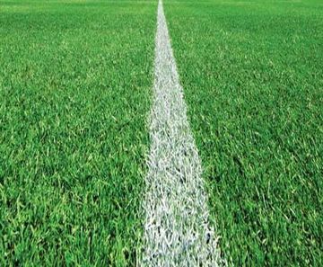Grass seed for football pitches | EXTERNAL WORKS