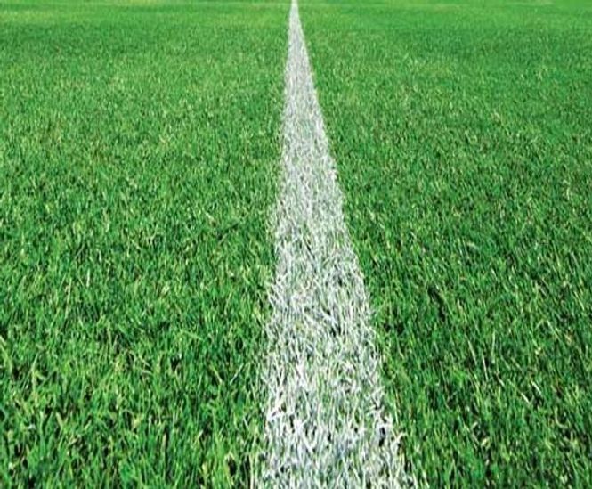 J Rescue Stadia overseeding mix for sports fields | Johnsons Sports Seed