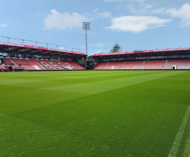 J Premier Pitch sports turf seed for AFC Bournemouth | Johnsons Sports Seed