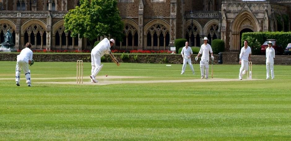 J Nitro Premier Wicket grass seed for cricket wickets | Images