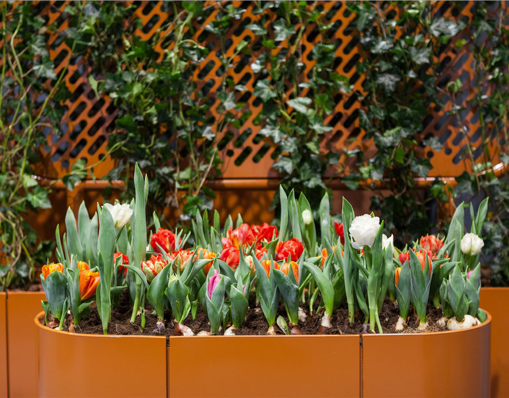 Images for POP planter