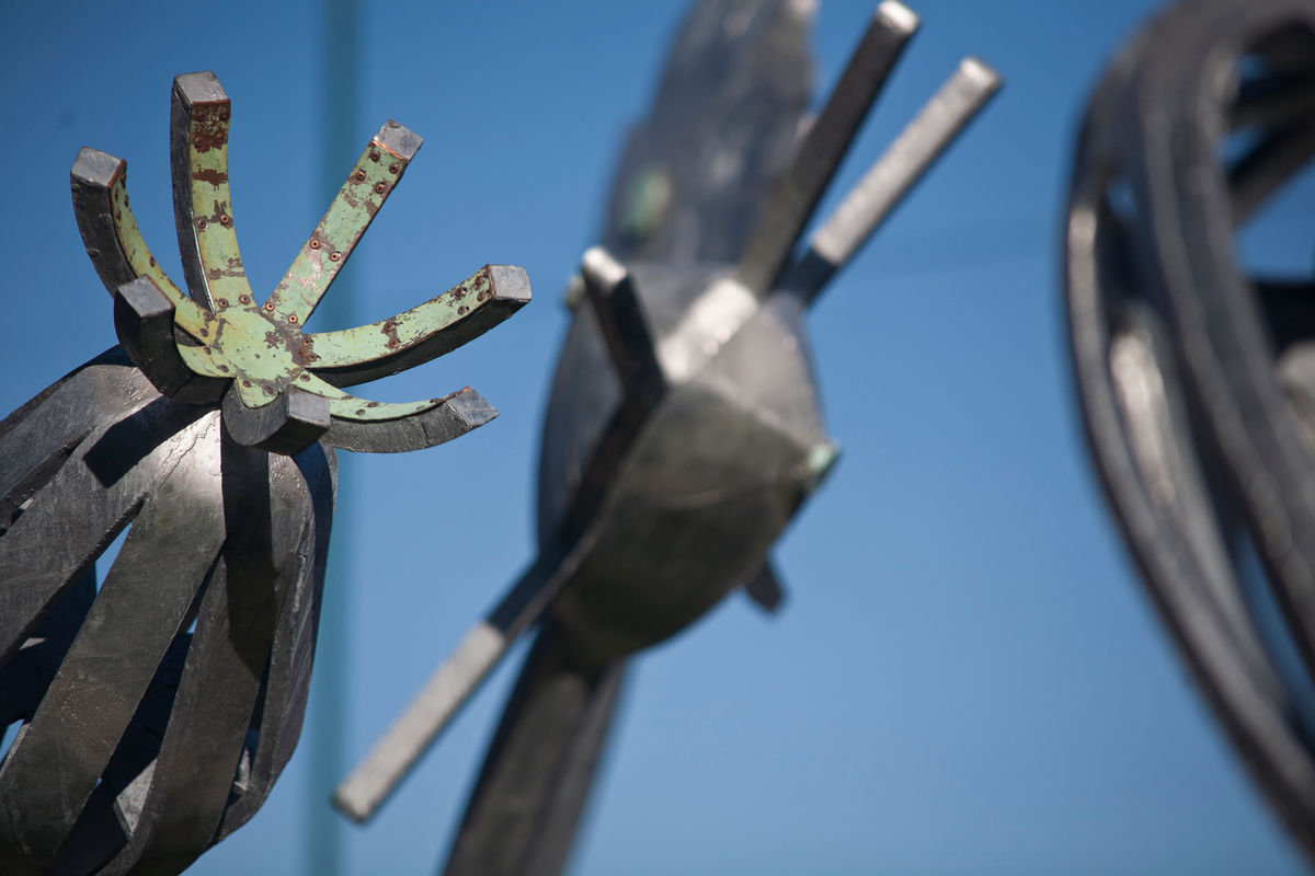 Waterland sculptures - Bulwell Riverside, Nottingham | Images