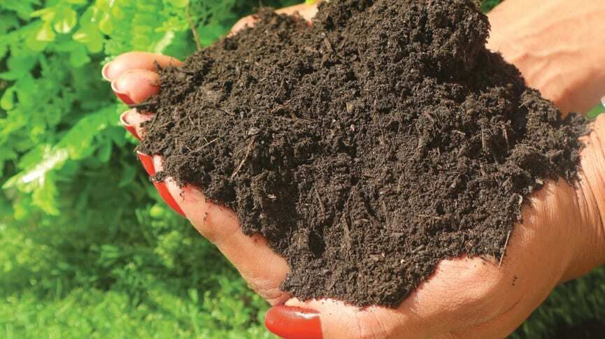 PAS100 Compost - organic peat-free soil improver for gardens and beds ...