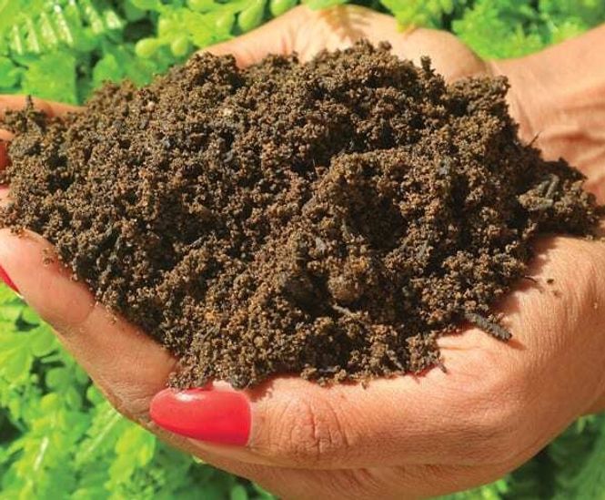 Premium high-performance topsoil | MCM-SE