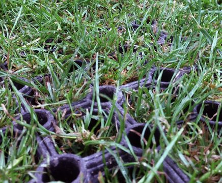 Recycled rubber grass protection mats | Suregreen