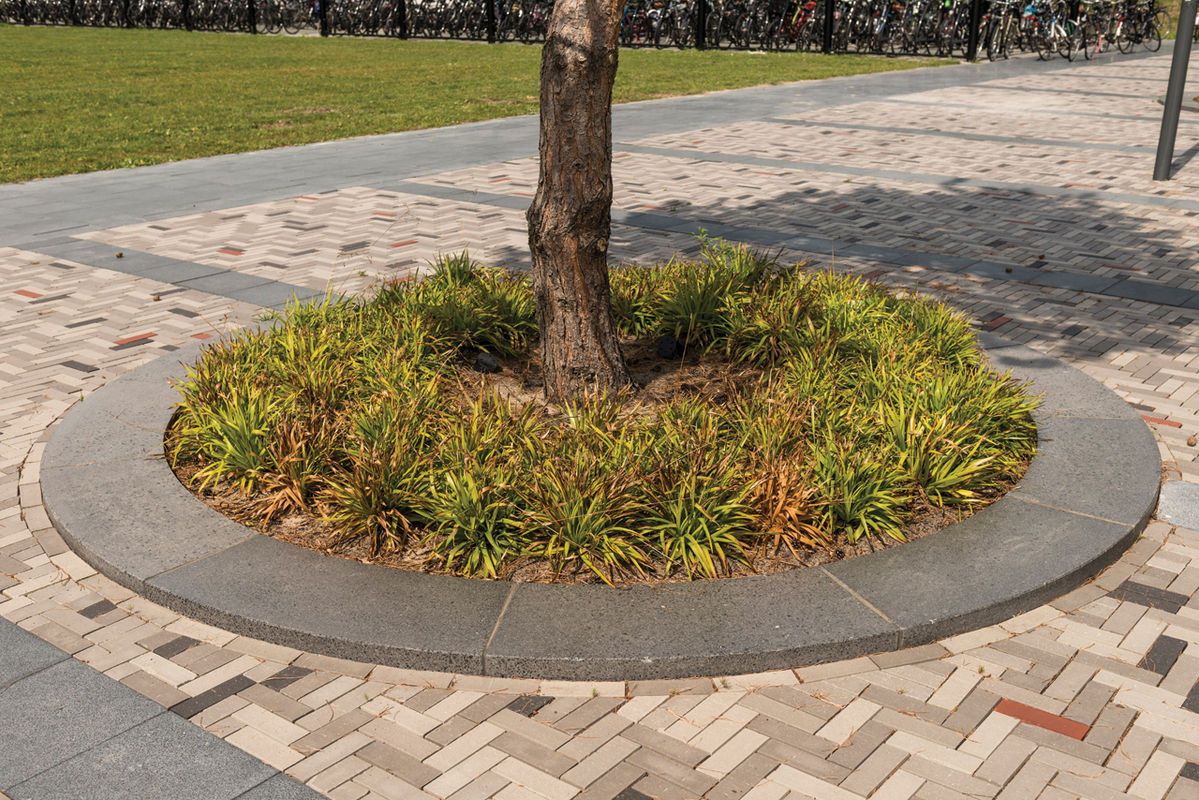 Images for Architectural concrete tree surrounds, Dronten Station