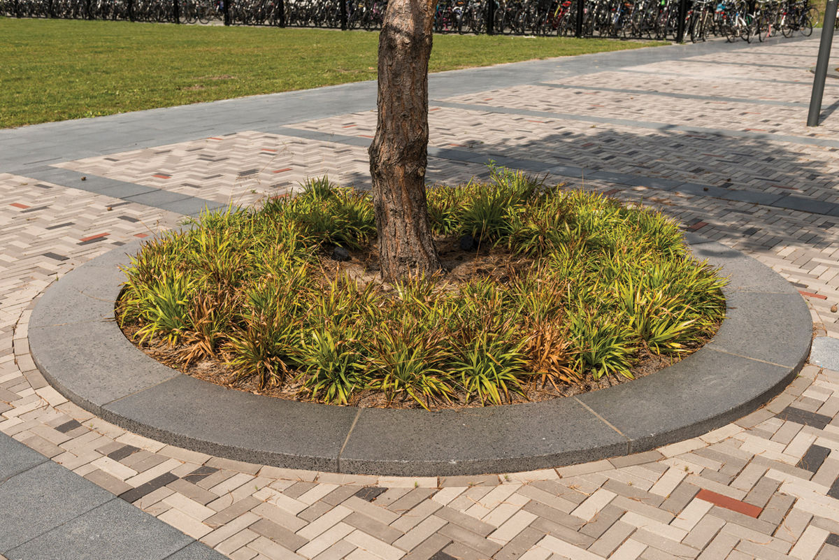 Architectural concrete tree surrounds, Dronten Station | URBASTYLE ...