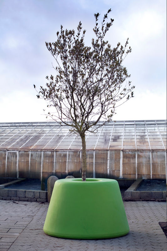 Loop Cone Backrest | Images