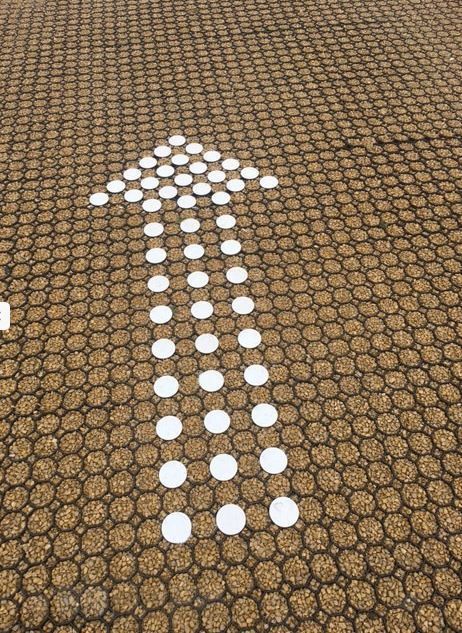 Images for CellPave® 40 Interlocking Cellular Paving Grid