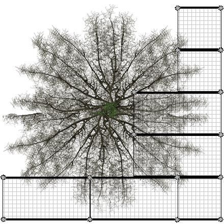 Images for RootBridge – bridges for tree root protection