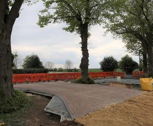 tree root protection grid