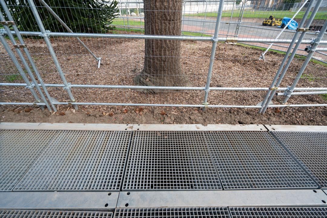 Tree root protection on access road at Royal Botanic Gardens | Images