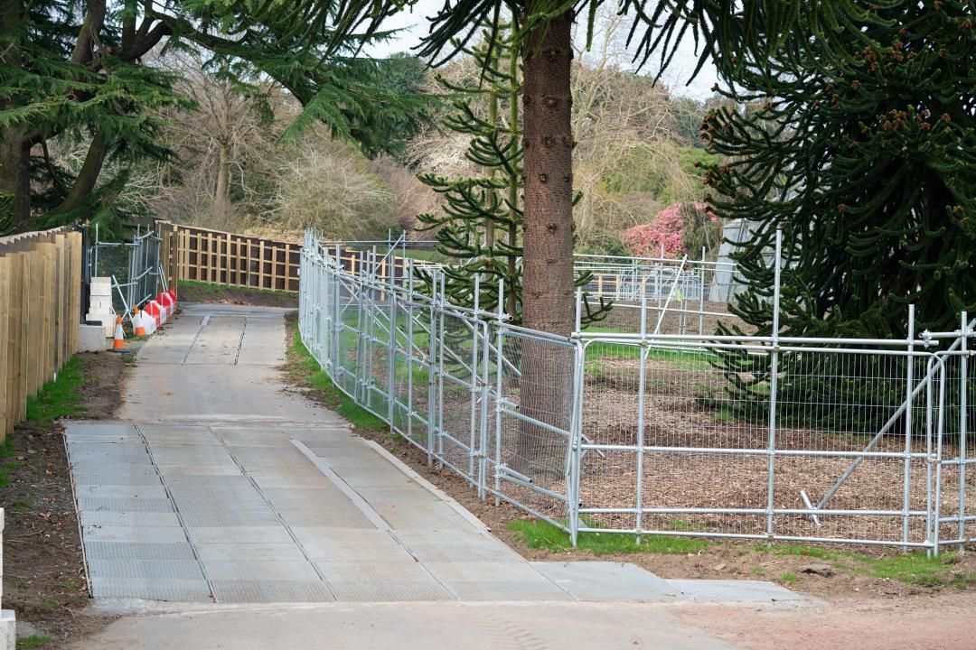 Tree root protection on access road at Royal Botanic Gardens | Images