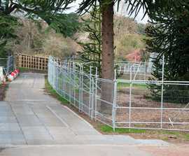 Tree root protection on access road at Royal Botanic Gardens | Green ...