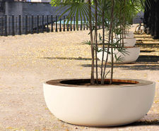 Lid planter by LAB23 | All Urban