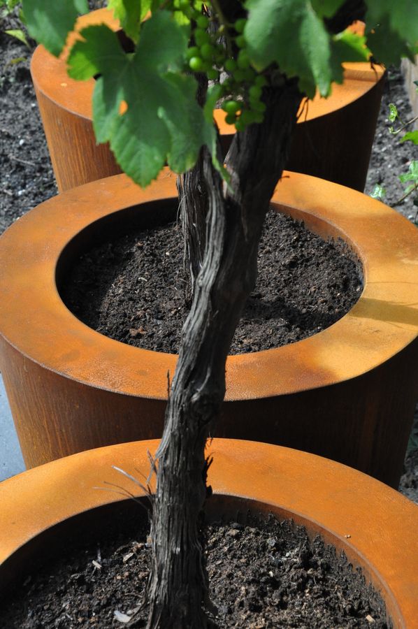 Cado contemporary corten steel circular planter | Taylor Made Planters ...